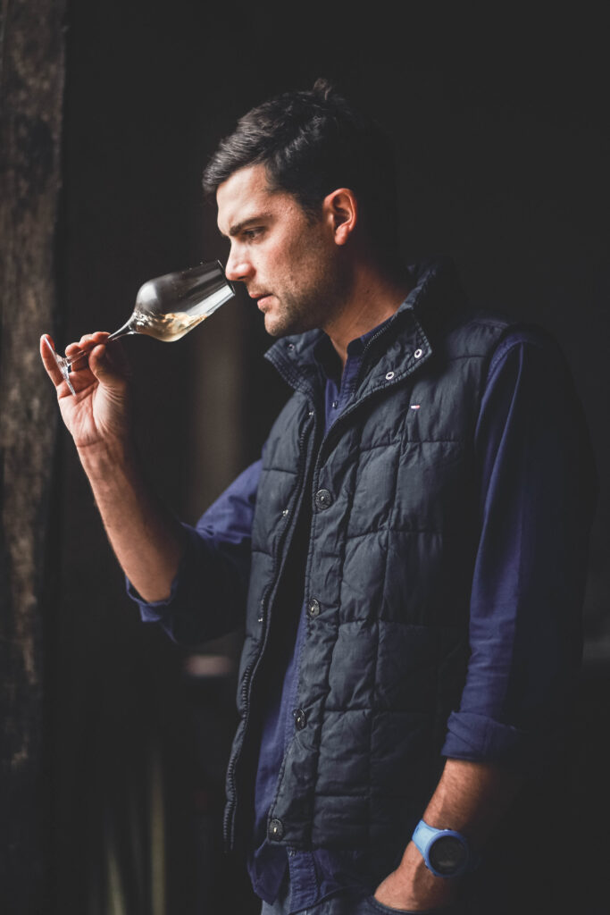 The Cellar - Champagne Pierre Paillard